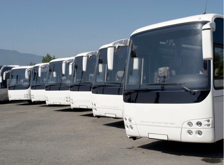 Mascoat | Mascoat | Home